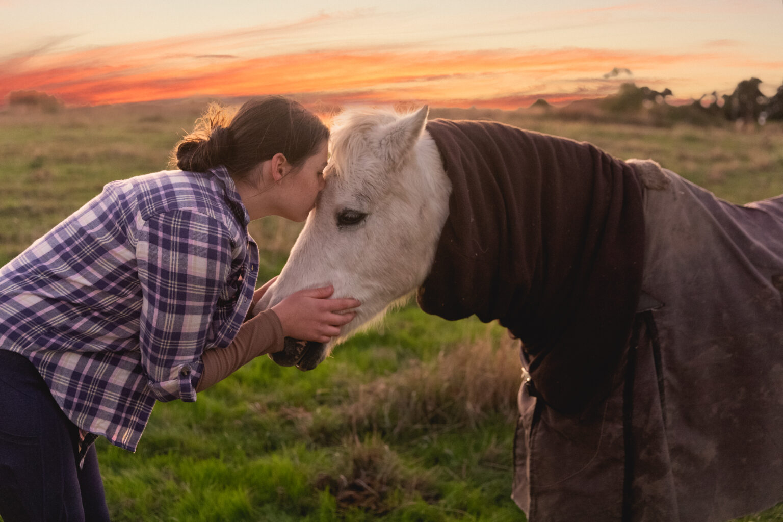 About Us Today - Equine Assisted Therapy sessions in Melbourne.